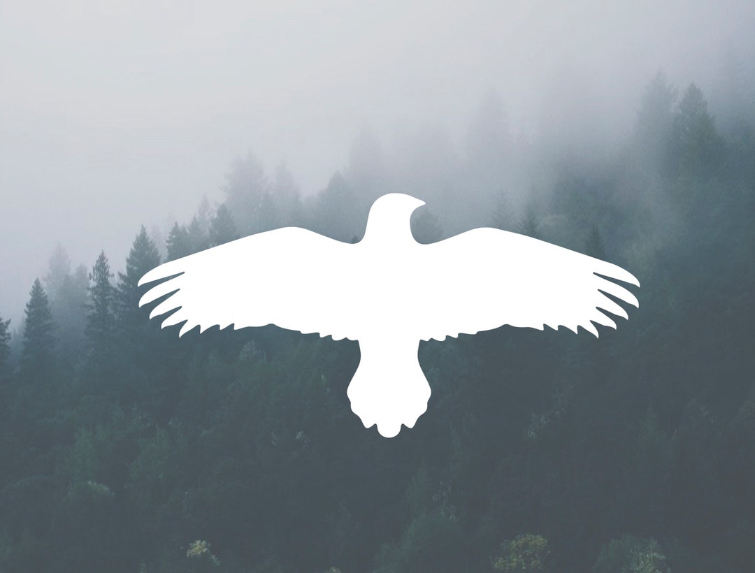 Raven • Decal - Etsy