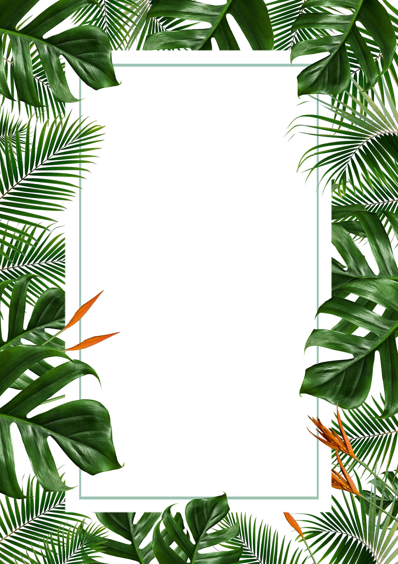 Tropical Green Leaf Frame on White Background - Etsy
