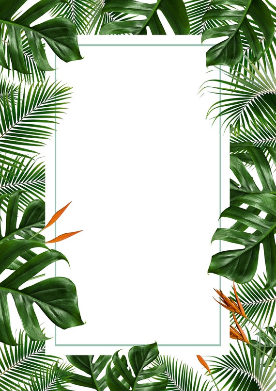 Tropical Green Leaf Frame on White Background - Etsy