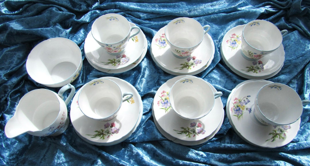 Shelley Wild Flowers 20 Piece Tea Set, Tea Party Set, Garden Party Tea ...