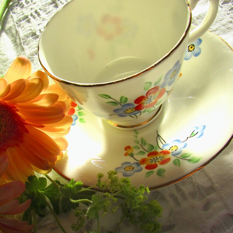 Delphine Bone China Footed Tea Cup and Saucer by JH Middleton & Co ...