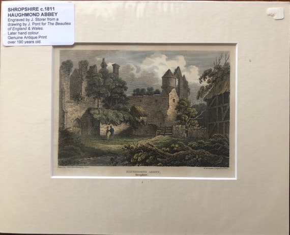 Art & Collectibles Shropshire original antique vintage engraving print ...