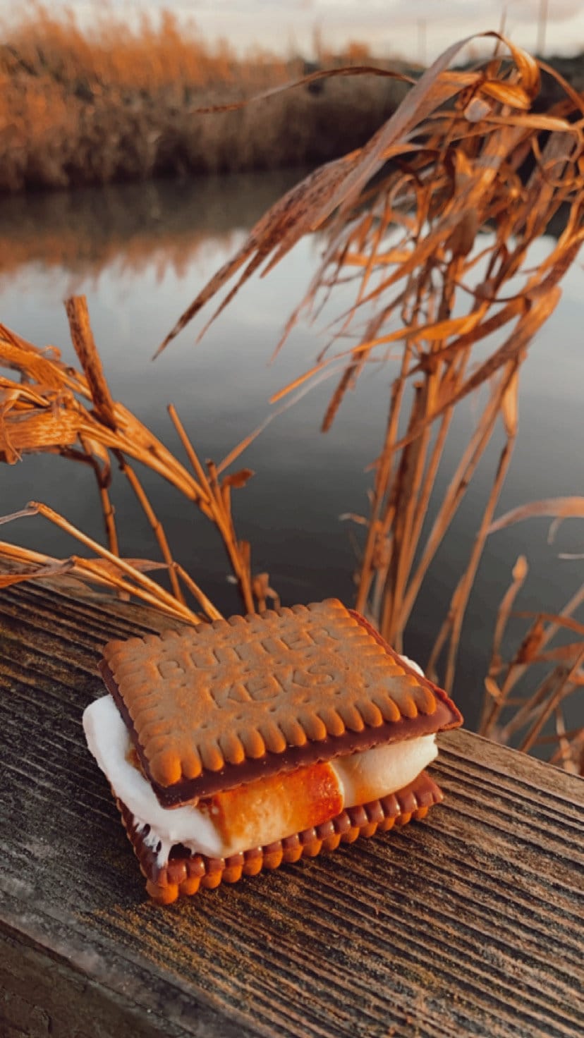 Smores Kit/ Marshmallow Toasting Kit | Etsy UK