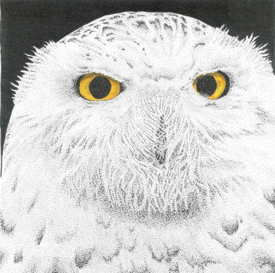 Owl Print 5x5 Pointillism Artwork - Etsy