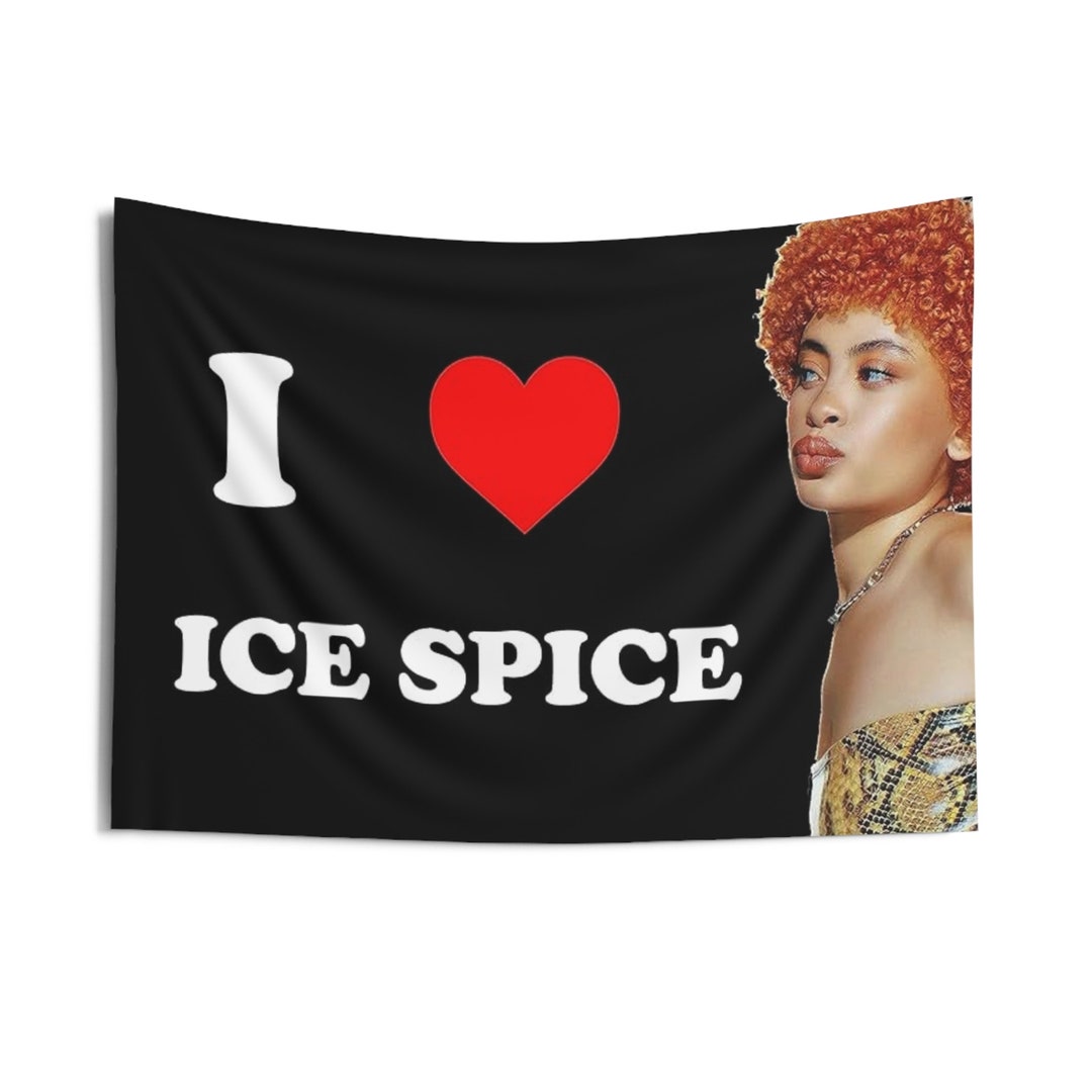 I Love Ice Spice Poster - Etsy