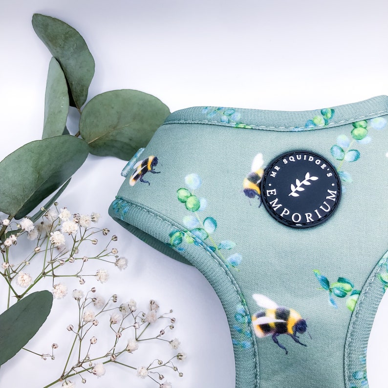 Cute as Can Bee Dog Harness | Etsy