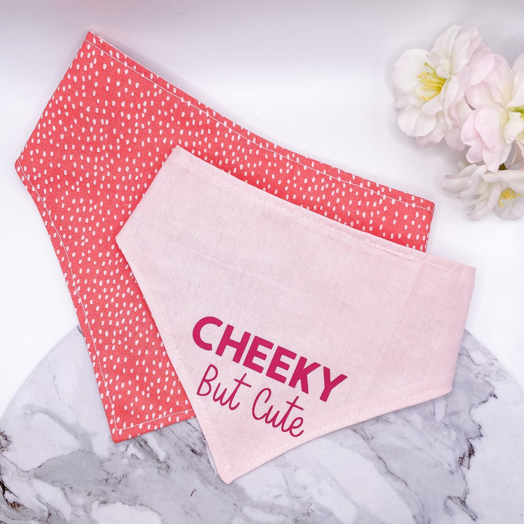 Cheeky but Cute | Spring Collection | Handmade Reversible Dog Bandana ...