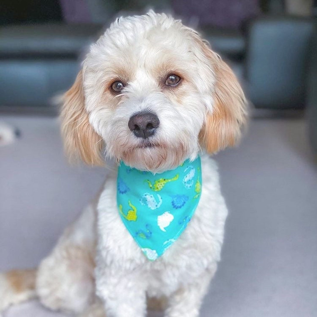 Dinosaur | Handmade Reversible Dog Bandana | Mr Squidge’s Emporium - Etsy