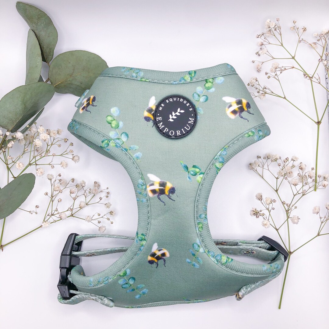 Cute as Can Bee Dog Harness - Etsy
