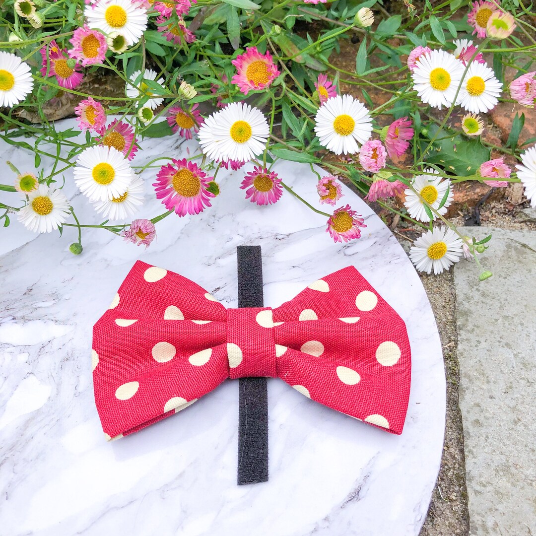 Red Spotty Handmade Dog Bow | Mr Squidge’s Emporium - Etsy