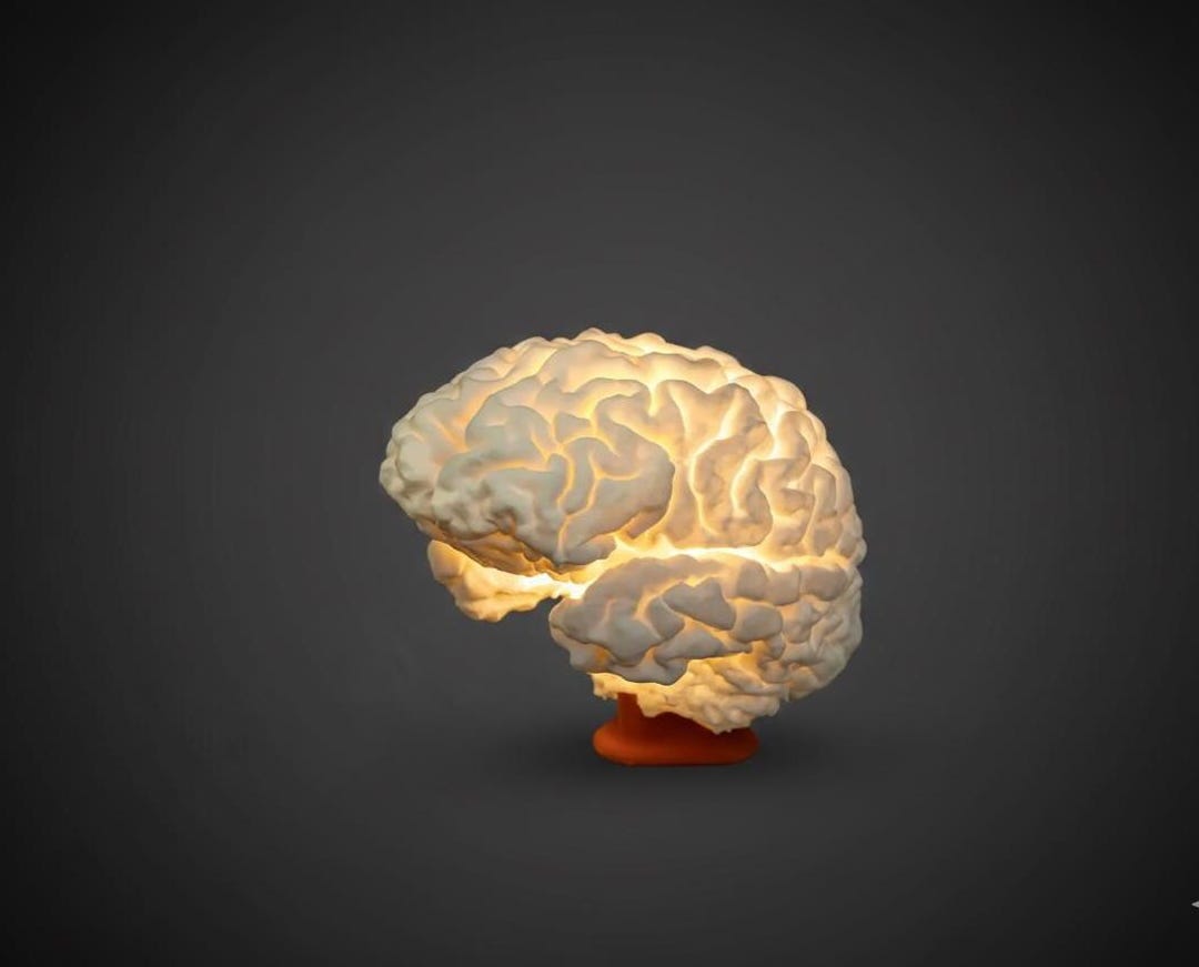 Brain Lamp STL File 3D Printable Brain Night Light Anatomy Desk Decor ...