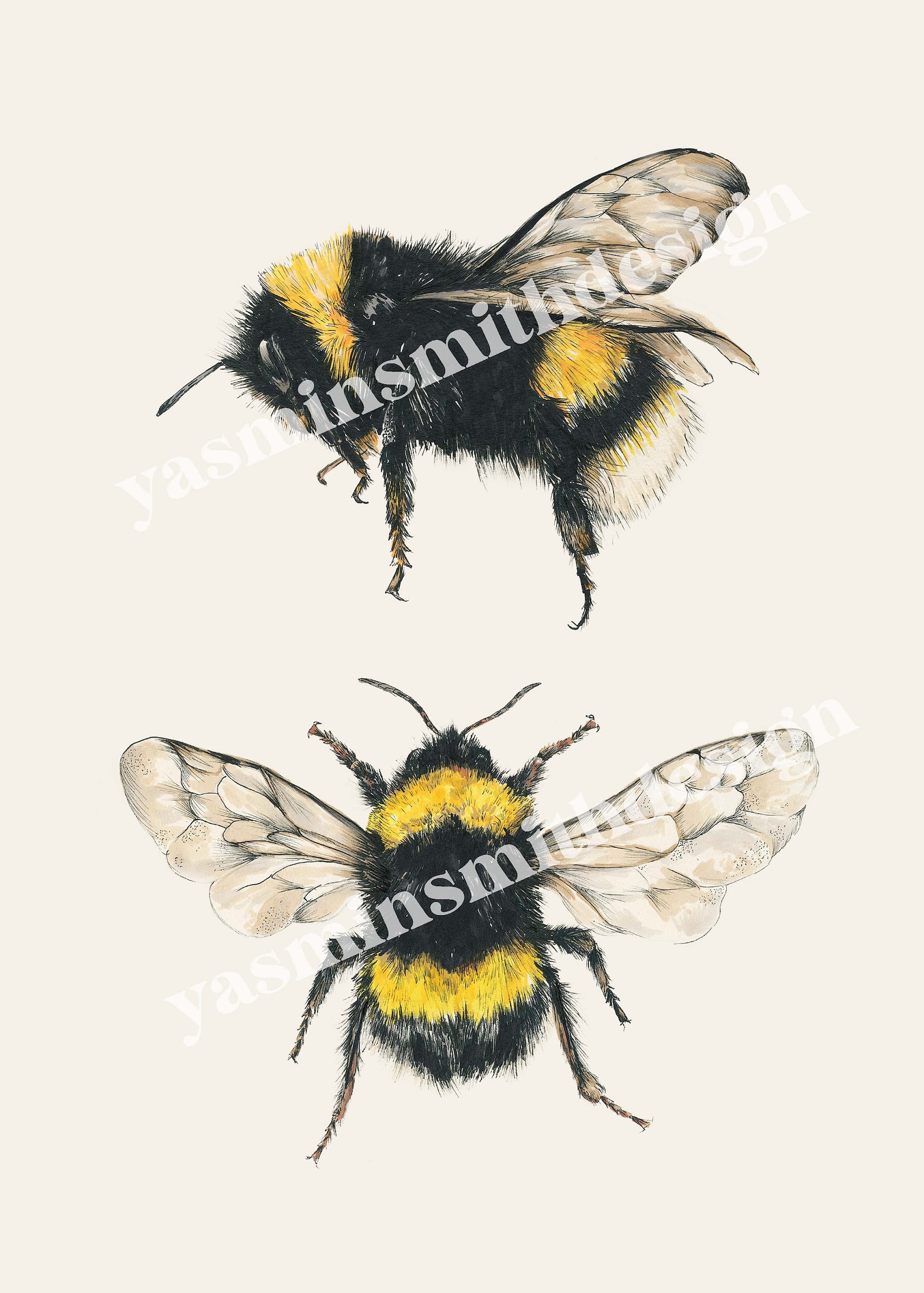 Bumblebee Print Bumblebee Giclee Print Wildlife Print | Etsy