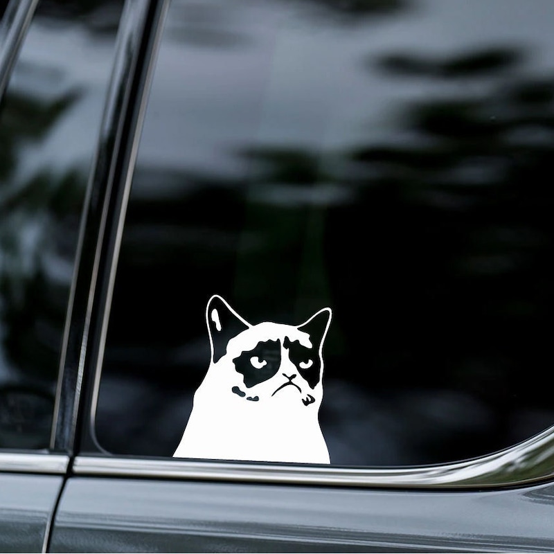 Grumpy Cat - Etsy