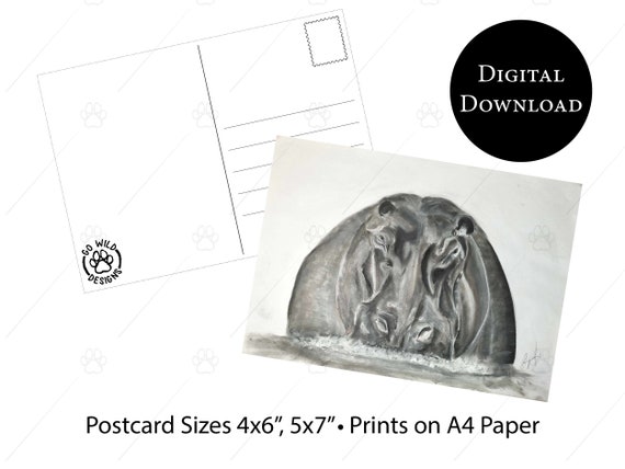 Hippo Postcard Printable on A4 Paper Original Artwork | Etsy