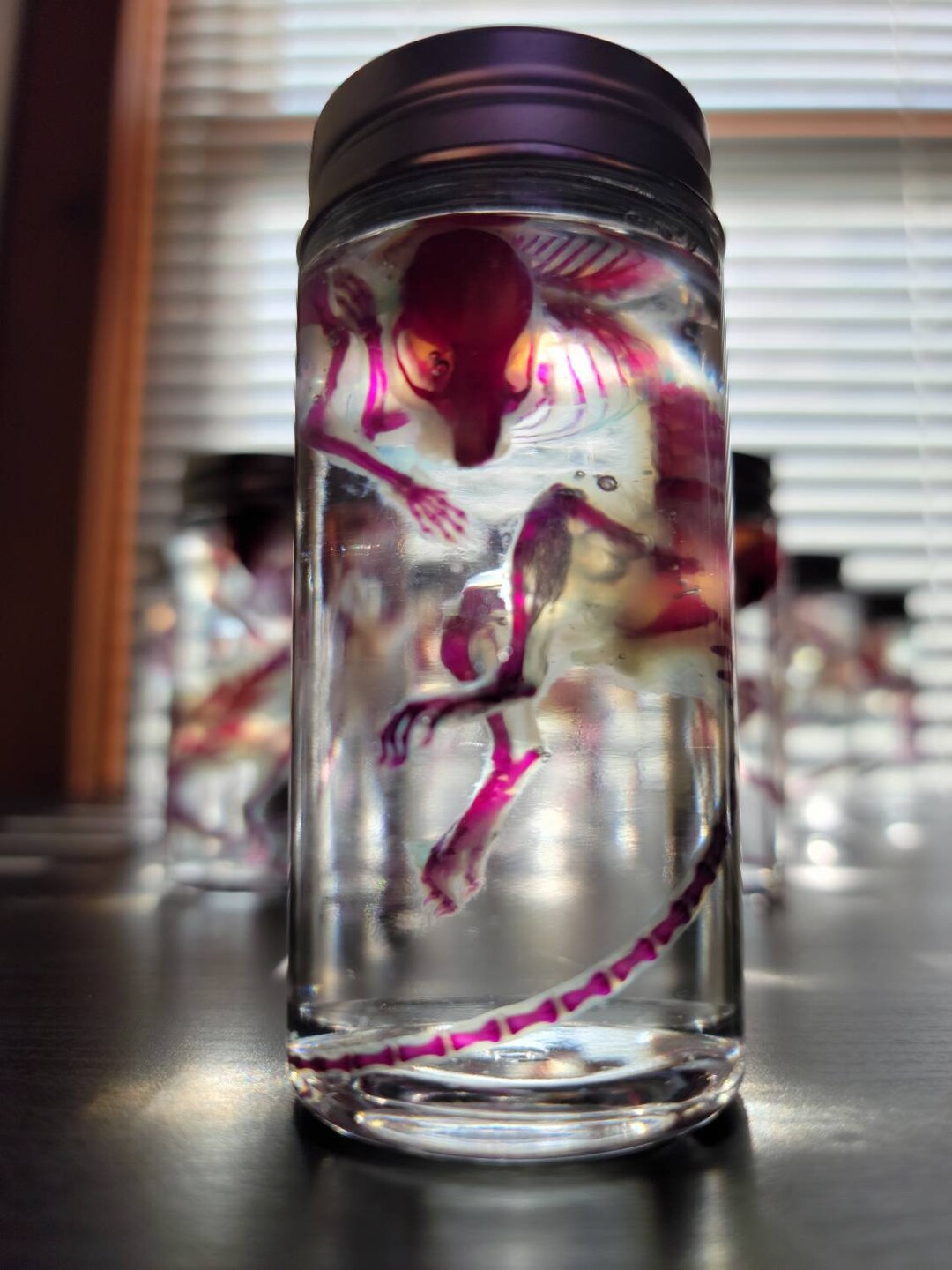 Diaphonized Mouse - Etsy