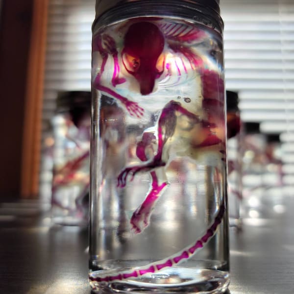 Diaphonization - Etsy