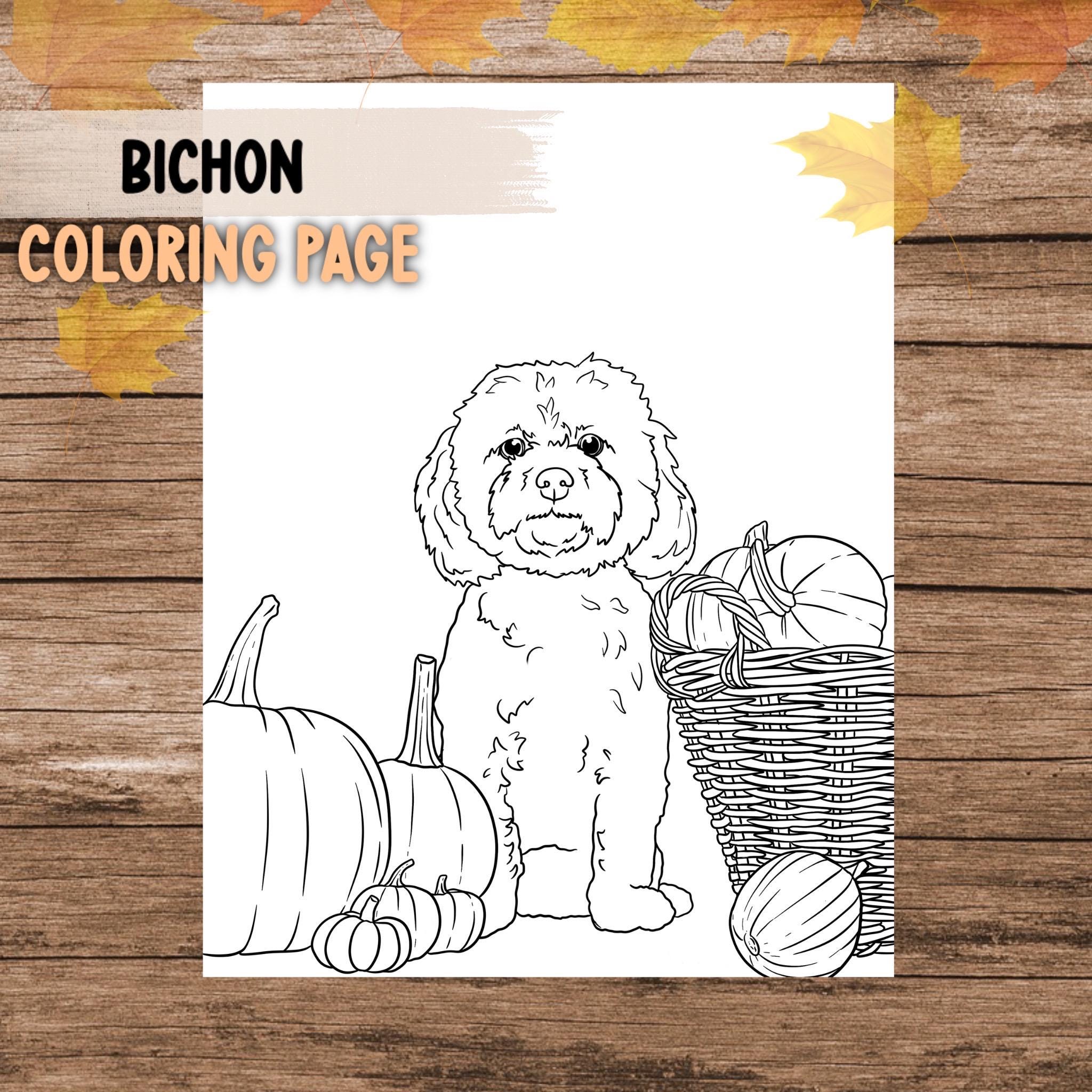 Bichon Fall Coloring Page, Dog Coloring Page, Custom Coloring Page, Dog ...