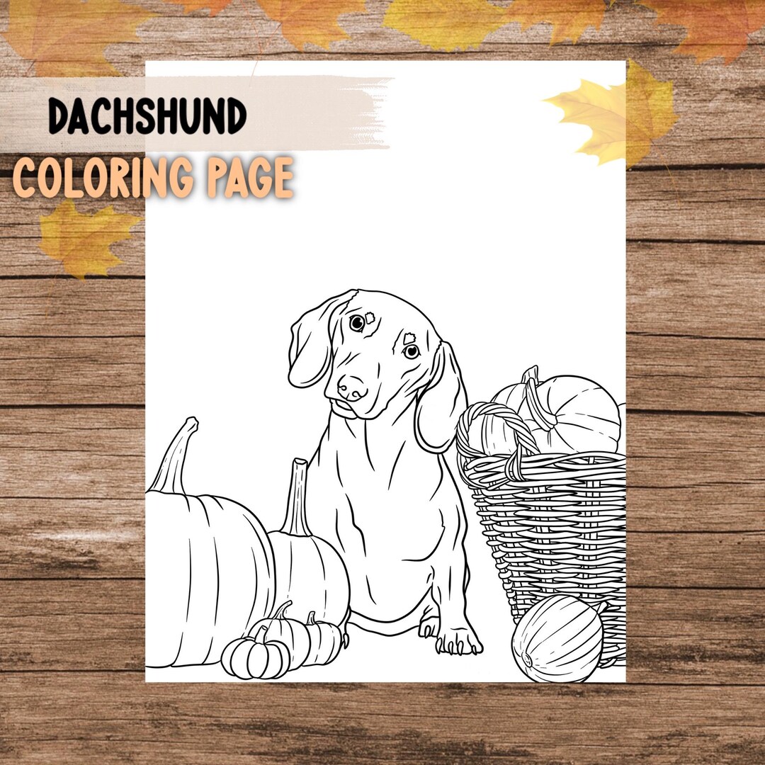 Dachshund Fall Coloring Page, Dog Coloring Page, Custom Coloring Page ...