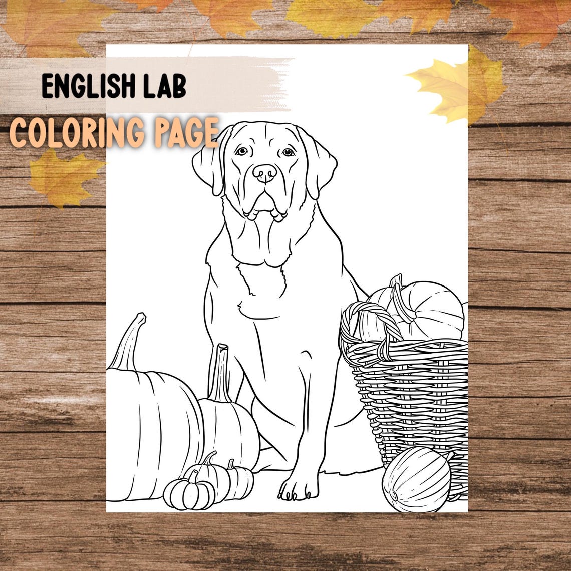 English Lab Fall Coloring Page, Dog Coloring Page, Custom Coloring Page ...