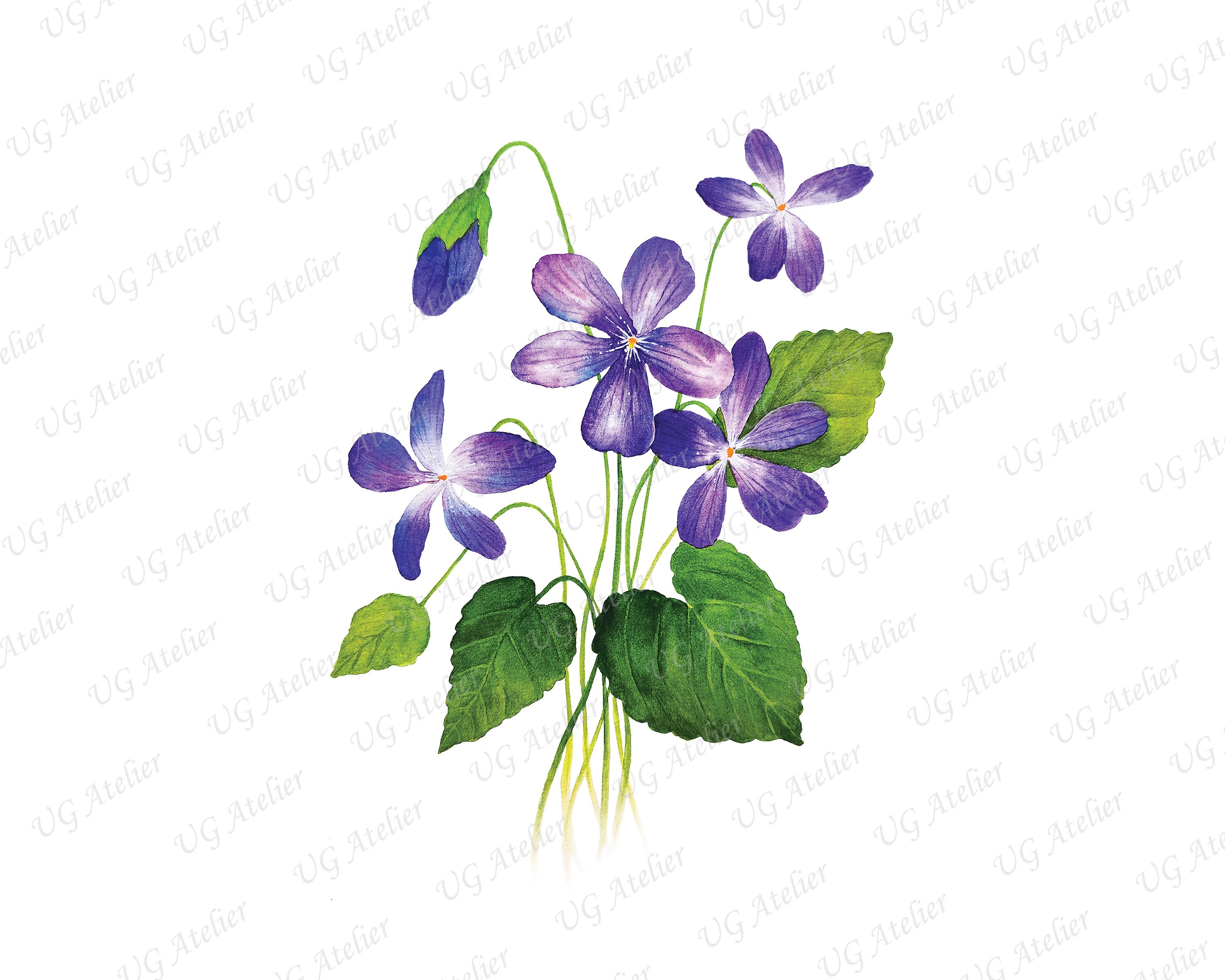 Violet Flower Wall Art Instant Printable Watercolor - Etsy