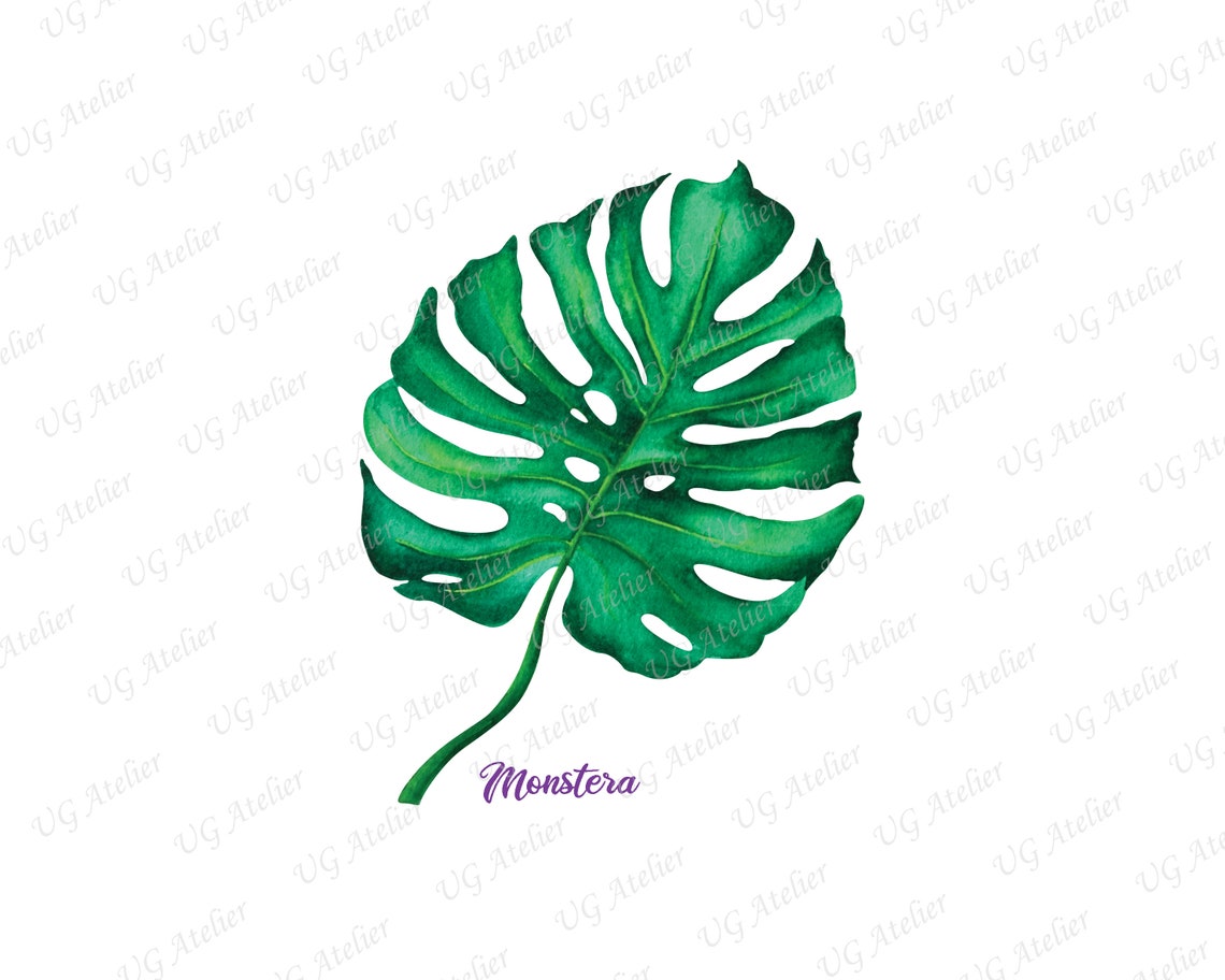 Tropical Leaves Monstera Wall Decor Instant Printable - Etsy
