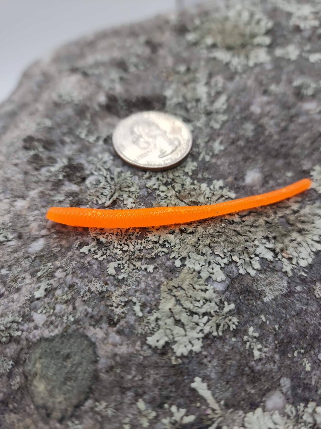 Soft Plastic Trout Worm Fluorescent Orange Color Plus 1 Micro Jig - Etsy
