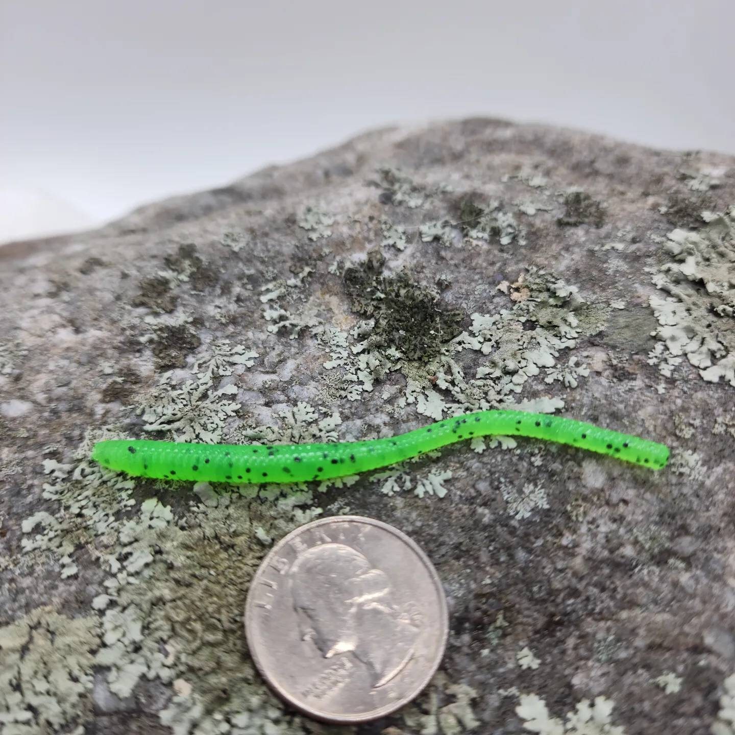 Soft Plastic Trout Worm Ecto Cooler Color Plus 1 Micro Jig - Etsy