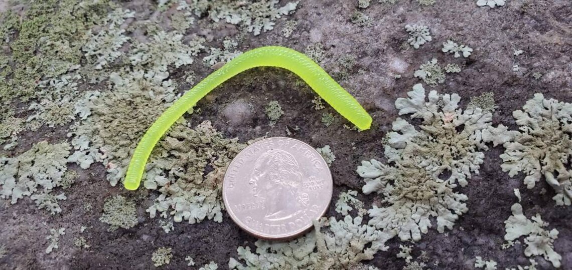 Soft Plastic Trout Worm Chartreuse UV Glow Color Plus 1 Micro Jig - Etsy