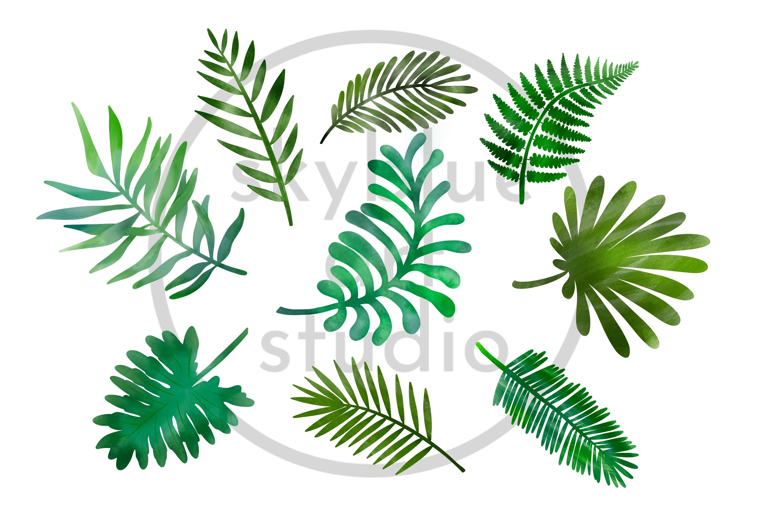 Colored Tropical Leaves, Tropical Leaf Clip Art, Hand Drawn Tropical ...