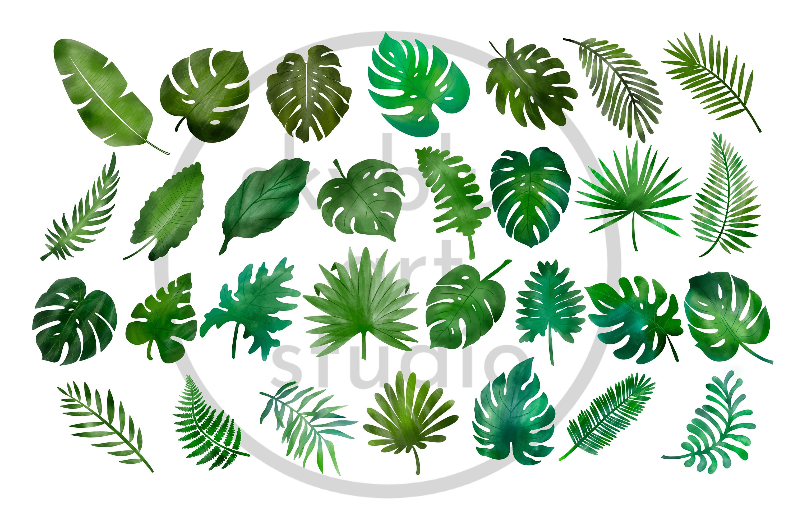 Colored Tropical Leaves, Tropical Leaf Clip Art, Hand Drawn Tropical ...