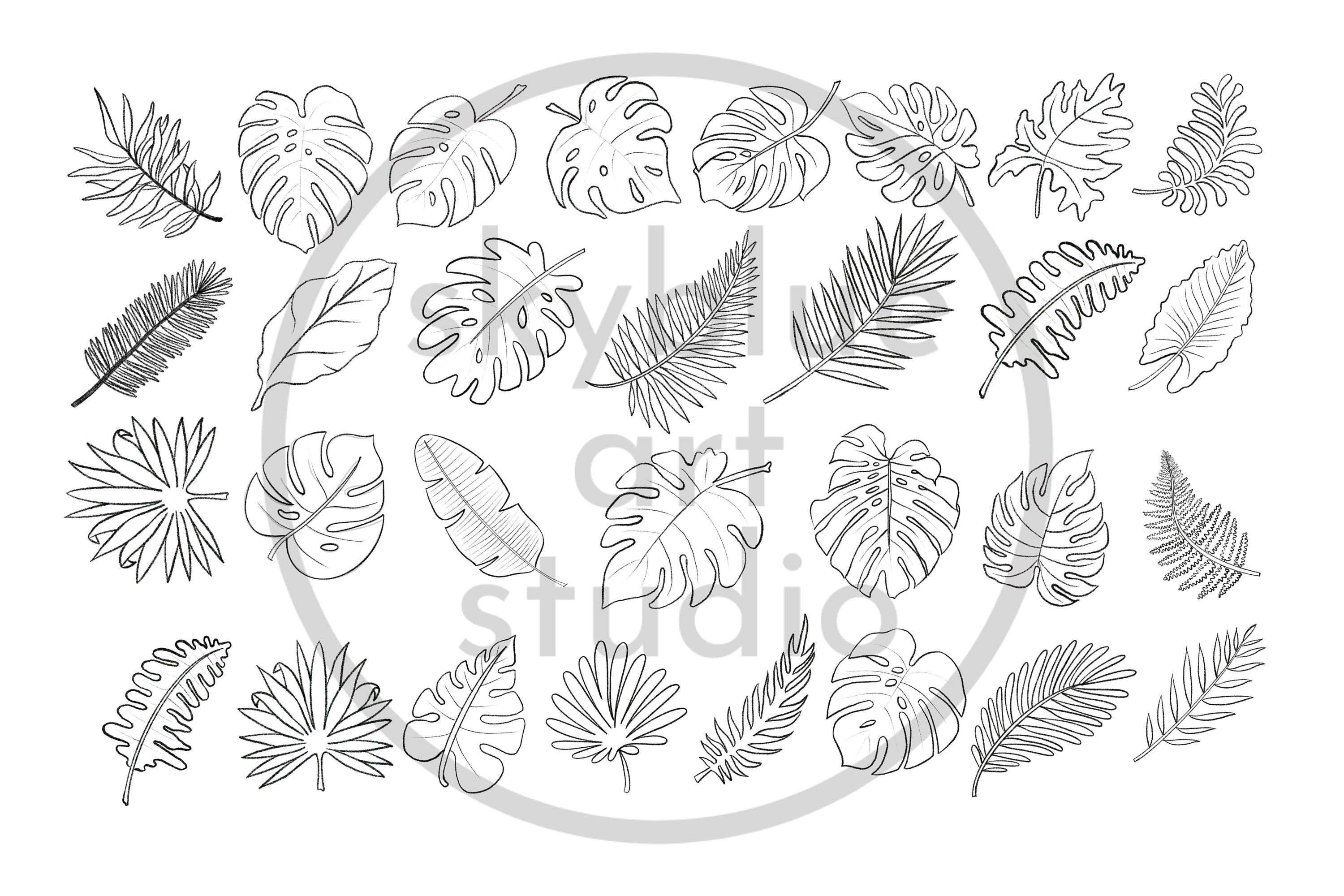 Tropical Leaves, Pencil Drawing Leaves,tropical Leaf Clip Art, Hand ...