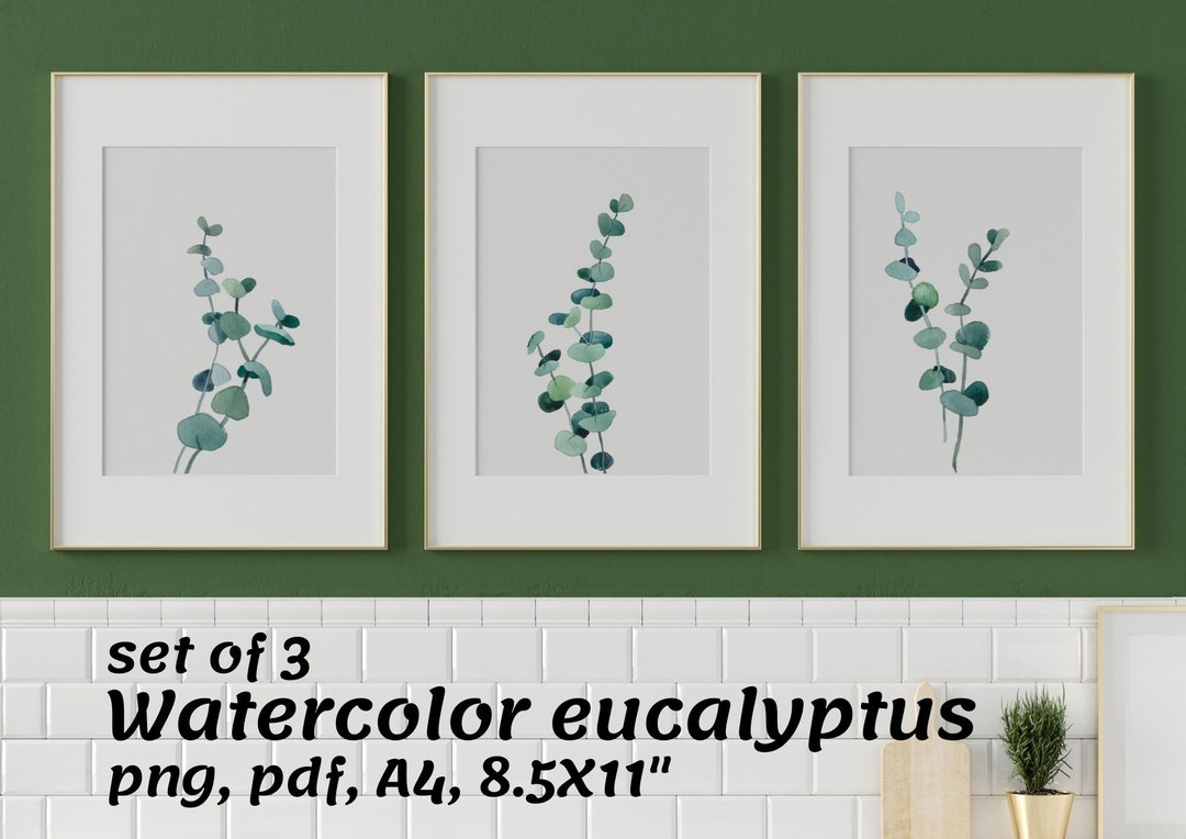 Watercolor Eucalyptus, Set of 3 Printable Eucalyptus Print, Eucalyptus ...