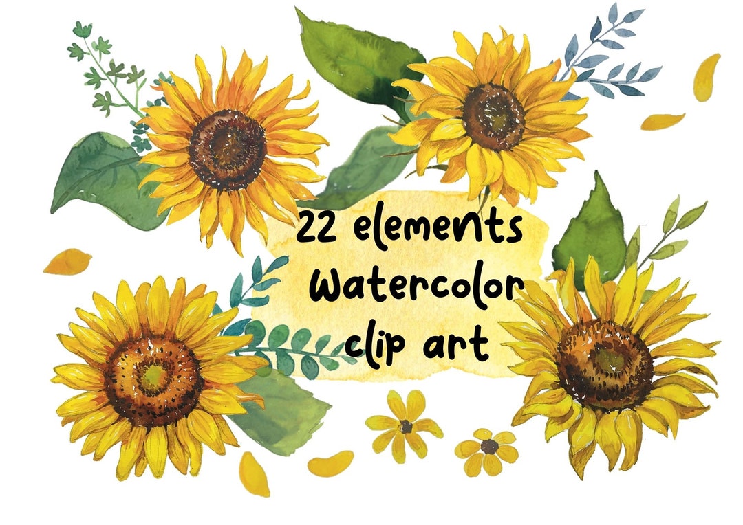 Watercolor Sunflower, Sunflower Png, Sunflower Clipart, Yellow Flower ...