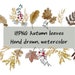 Autumn Leaves Clipart, Thanksgiving Clipart, Watercolor Fall Clipart ...