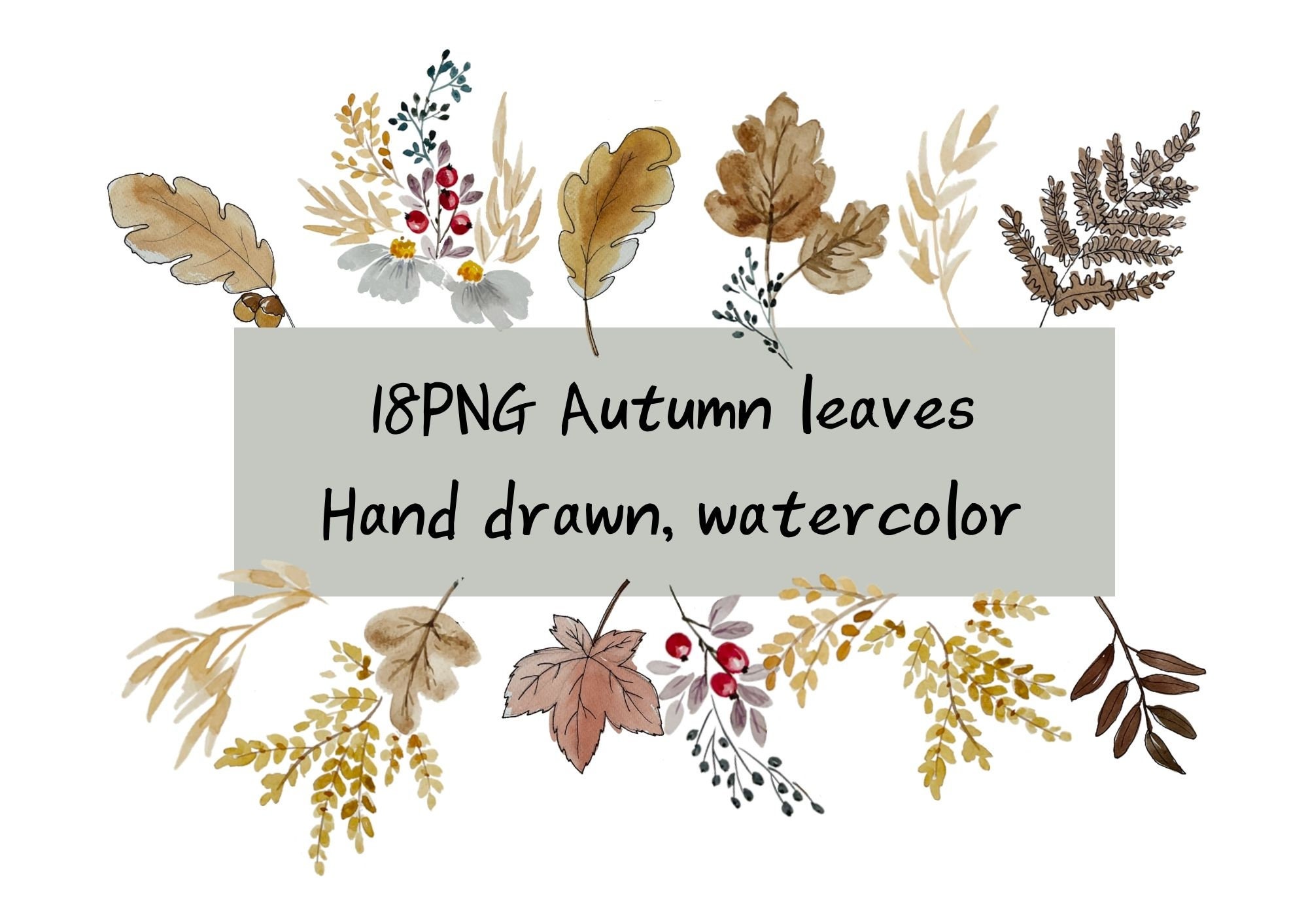 Autumn Leaves Clipart, Thanksgiving Clipart, Watercolor Fall Clipart ...
