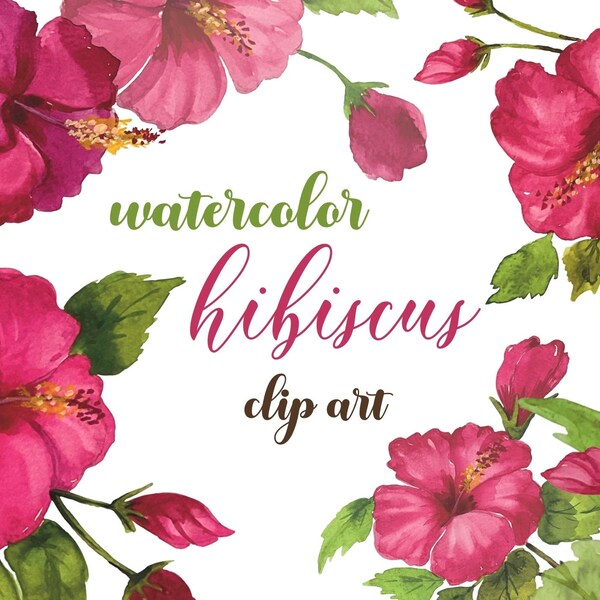 Watercolor Hibiscus - Etsy