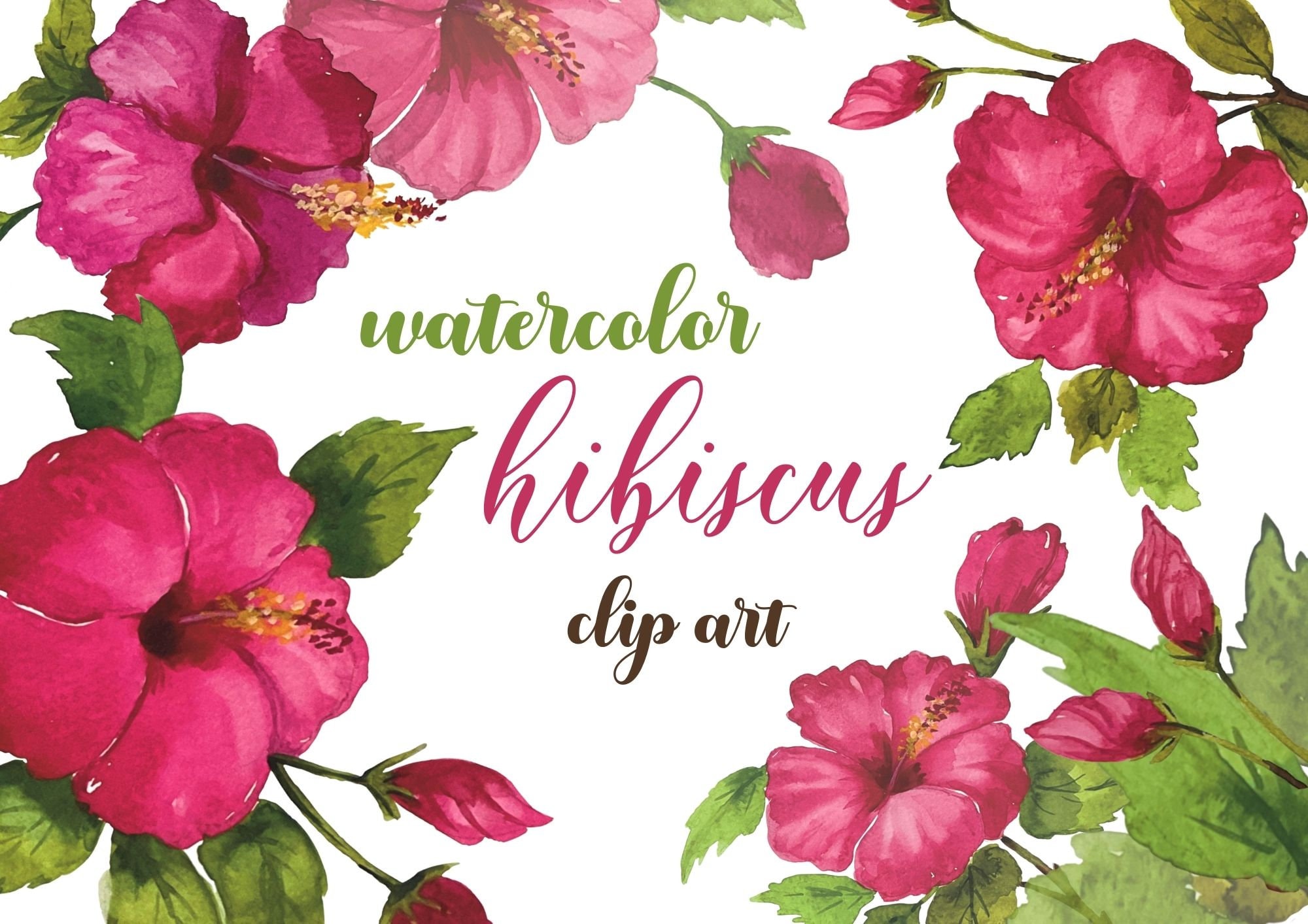 Hibiscus Digital Clip Art, Printable Hibiscus, Hibiscus Flower ...