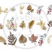 Autumn Leaves Clipart, Thanksgiving Clipart, Watercolor Fall Clipart ...