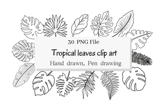 Tropical Leaves Tropical Leaf Clip Art Hand Drawn Tropical - Etsy