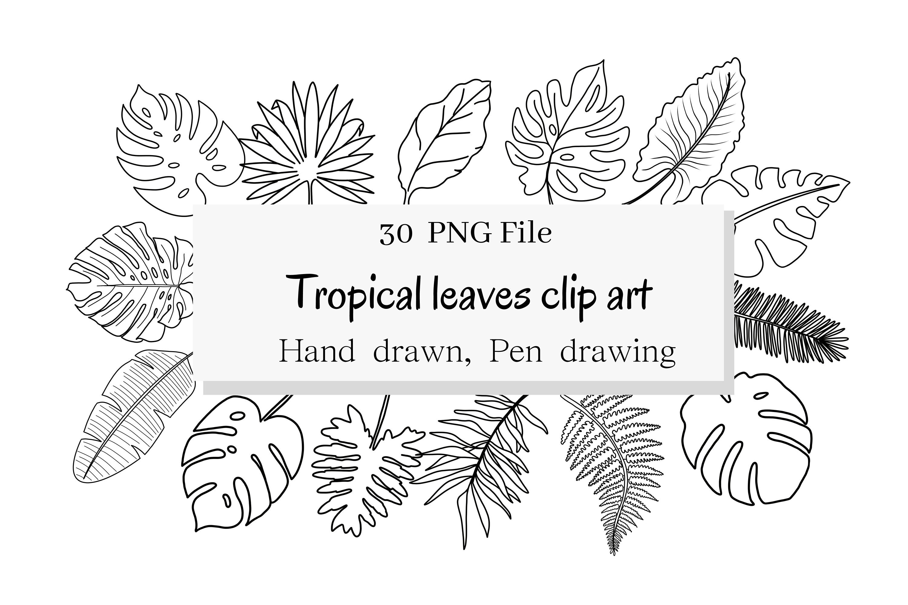 Tropical Leaves, Tropical Leaf Clip Art, Hand Drawn Tropical Leaves ...