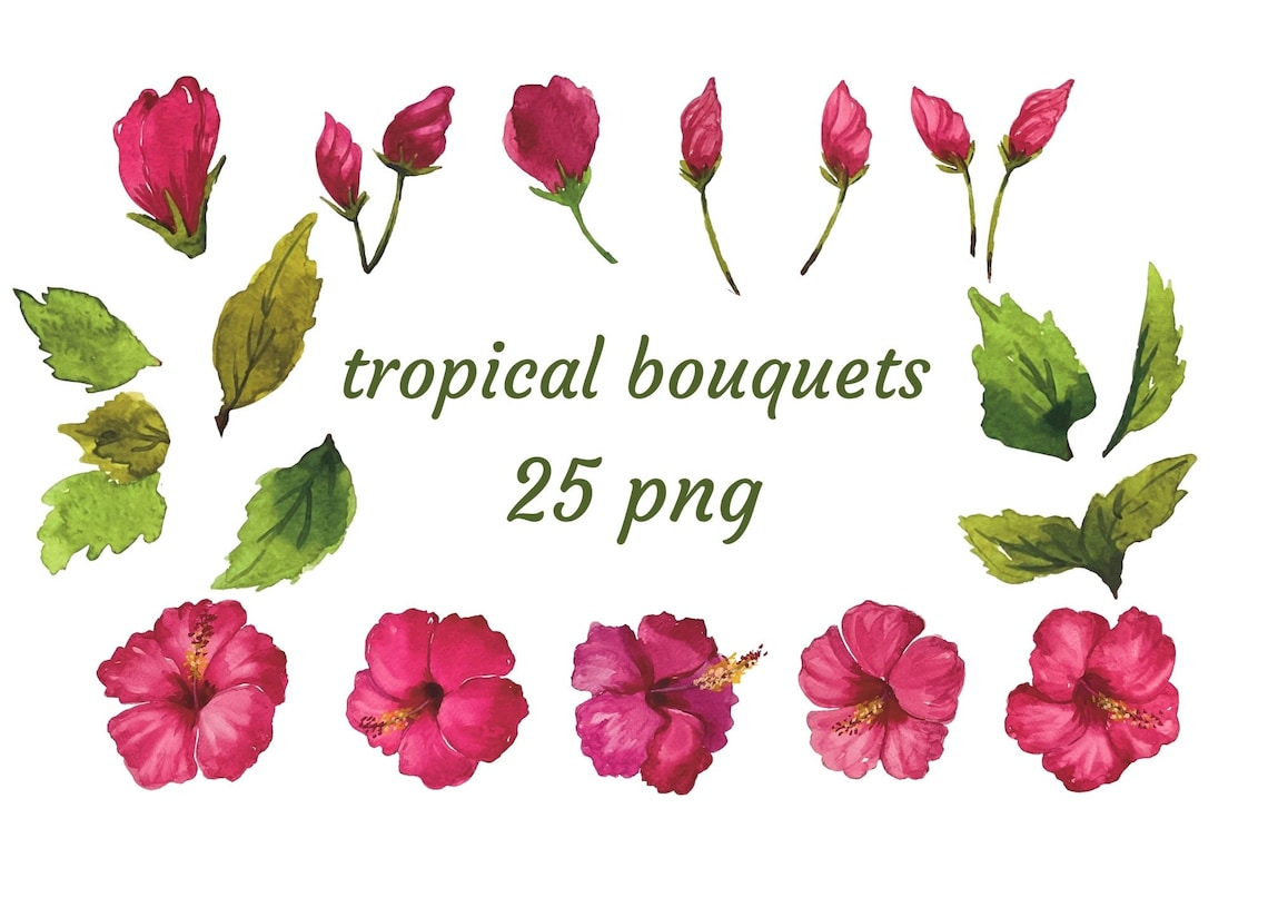 Hibiscus Digital Clip Art, Printable Hibiscus, Hibiscus Flower ...
