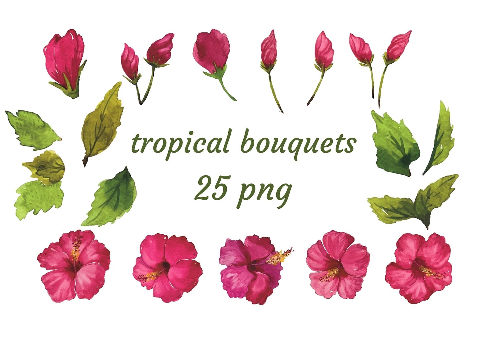 Hibiscus Digital Clip Art, Printable Hibiscus, Hibiscus Flower ...