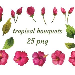Hibiscus Digital Clip Art, Printable Hibiscus, Hibiscus Flower ...