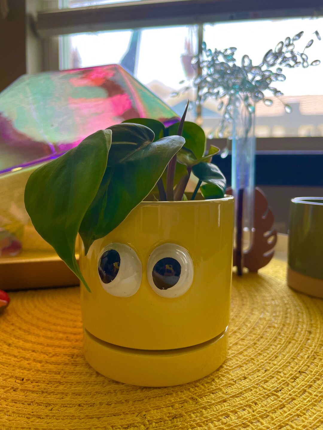 Yellow Googly Eye Plant Pot With a Live Brazilian Philodendron - Etsy