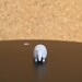 32mm Armadillo Miniature, Resin 3D Printed Animal - Etsy