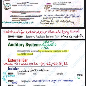 Auditory CPT Section Notes, Examples, Corrections Instant Download 6 ...