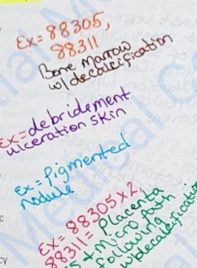 Lab and Path Section CPT Notes Pages Watermarked Instant Download ...