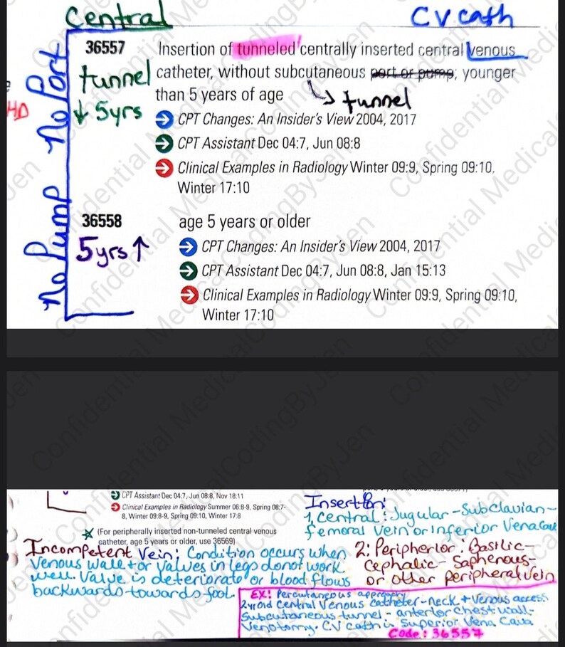 CPT Cardiovascular Medical Coder Coding Certification Exam Prep Notes ...