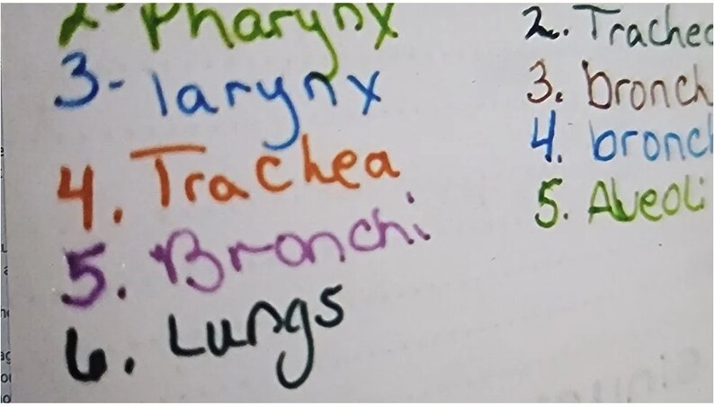 2024 CPT Respiratory Notes Section Medical Coding Certification Billing ...