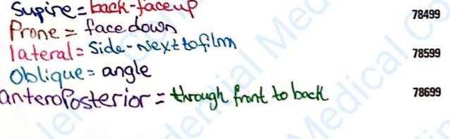 CPT Radiology Notes section Medical Coding Certification Billing Exam ...